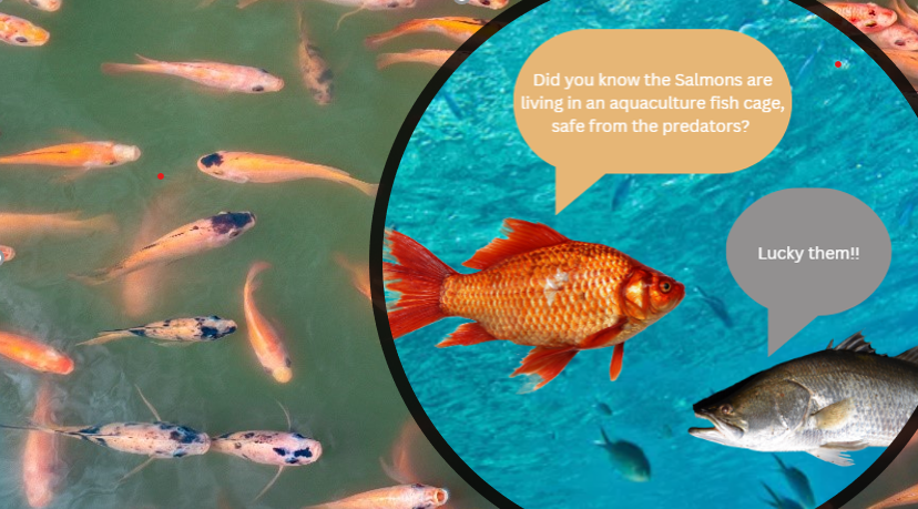 Reduce Aquaculture Biological Footprint with Fluid-Structure ...