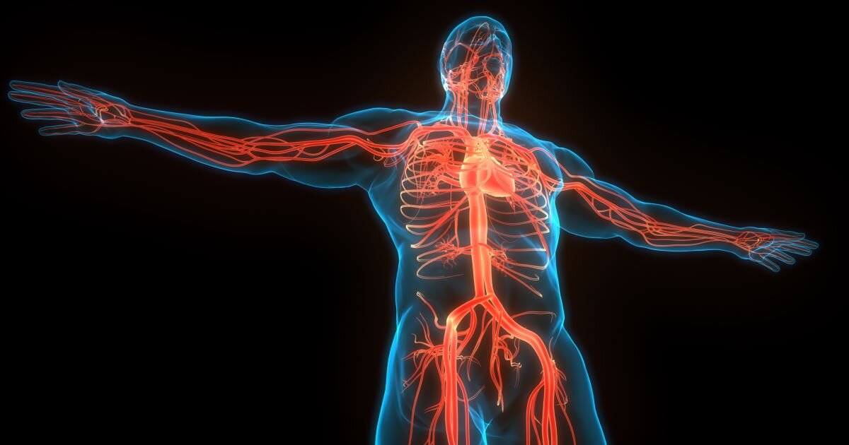 Unravelling Biofluid Dynamics in the Human Body - Computational Fluid ...