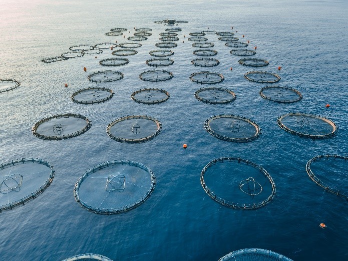 On Demand Webinar Simulating Fluid Structure Interaction Fsi With Fidelity Computational